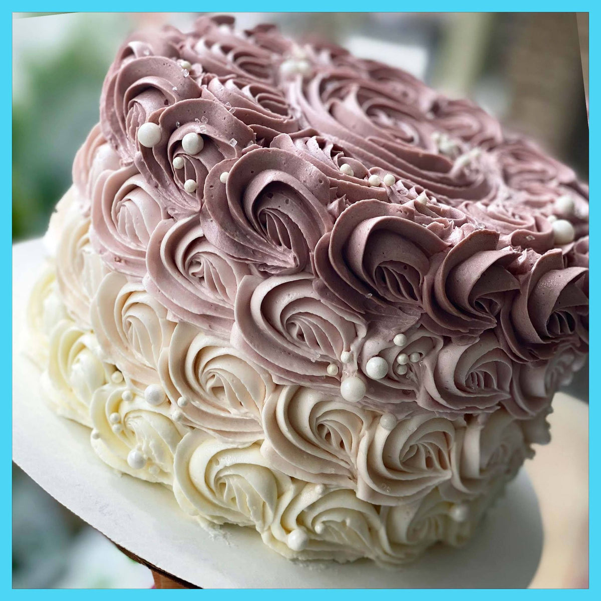 Mauve Rosette To Go Cake – Blue Sheep Bake Shop
