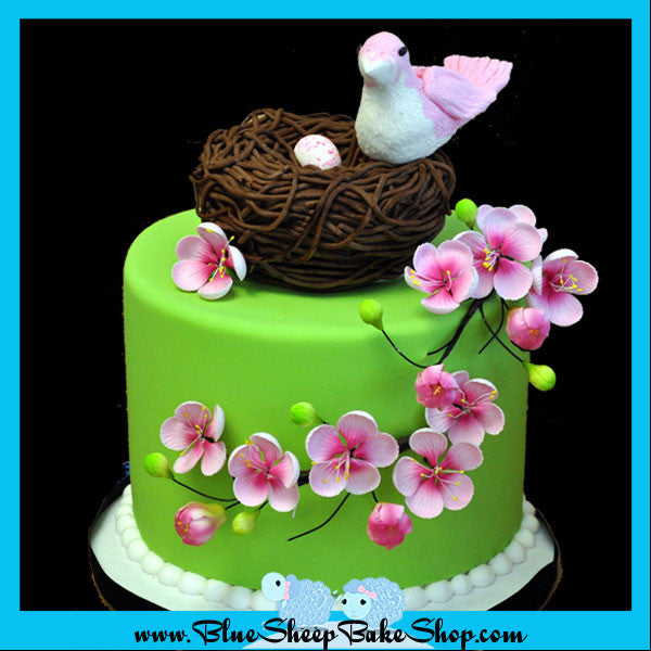 Baby Bird Baby Shower Cake – Blue Sheep Bake Shop