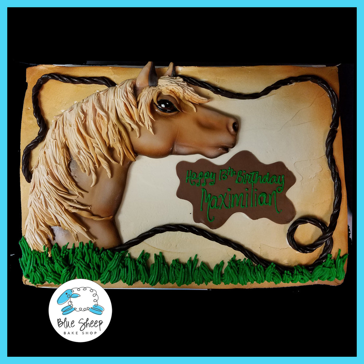 Max's Pony Birthday Cake – Blue Sheep Bake Shop