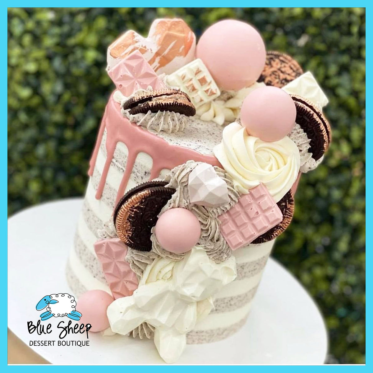 Bashful Teddy Cake – Blue Sheep Bake Shop